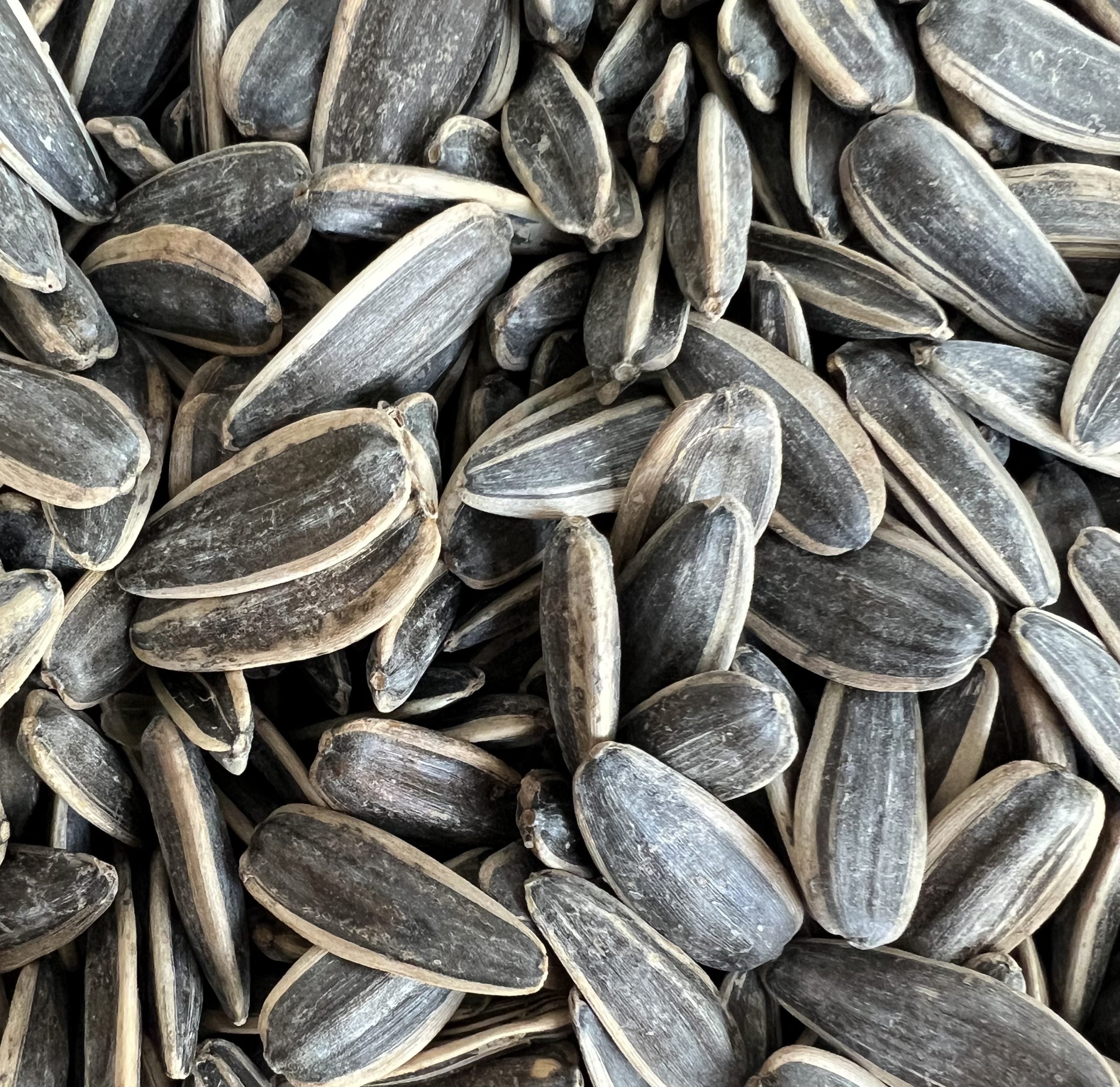 Skin Benefits of Sunflower Seeds – MUDMASKY